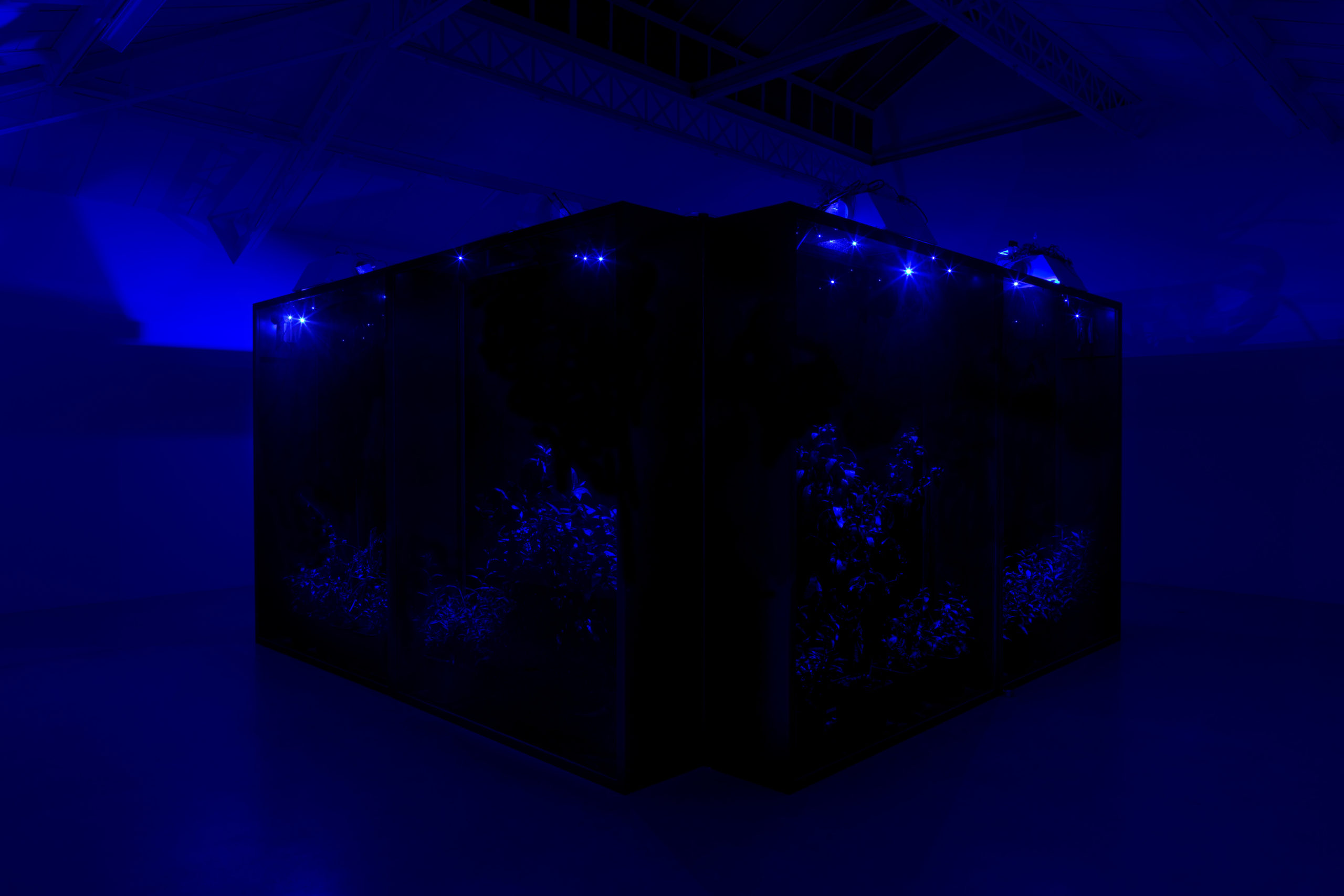 Mesk Ellil - Hicham Berrada