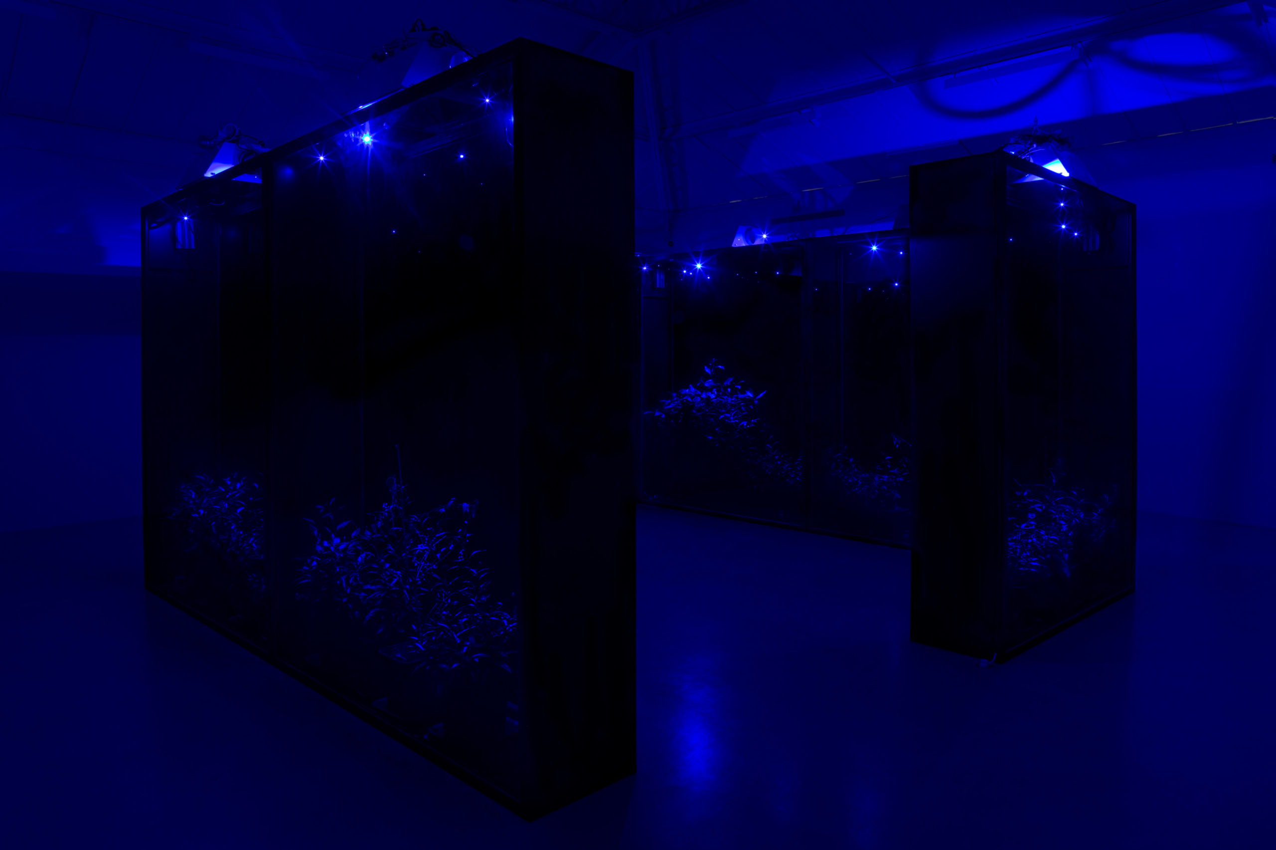 Mesk Ellil - Hicham Berrada