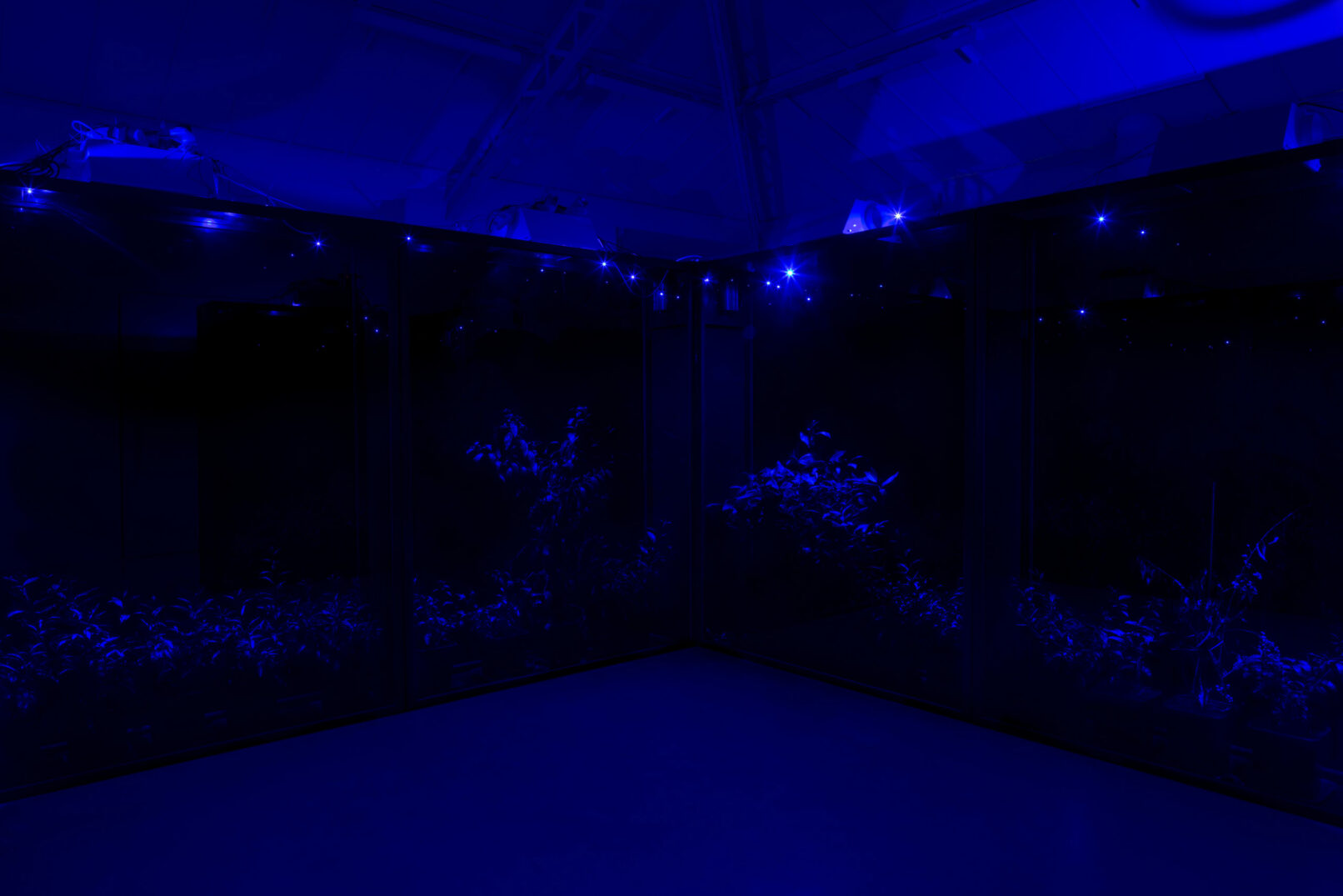 Mesk Ellil - Hicham Berrada